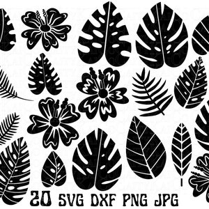 Tropical Leaves Svg Bundle, 20 Tropical Plant Svg, Monstera Leaf Svg ...