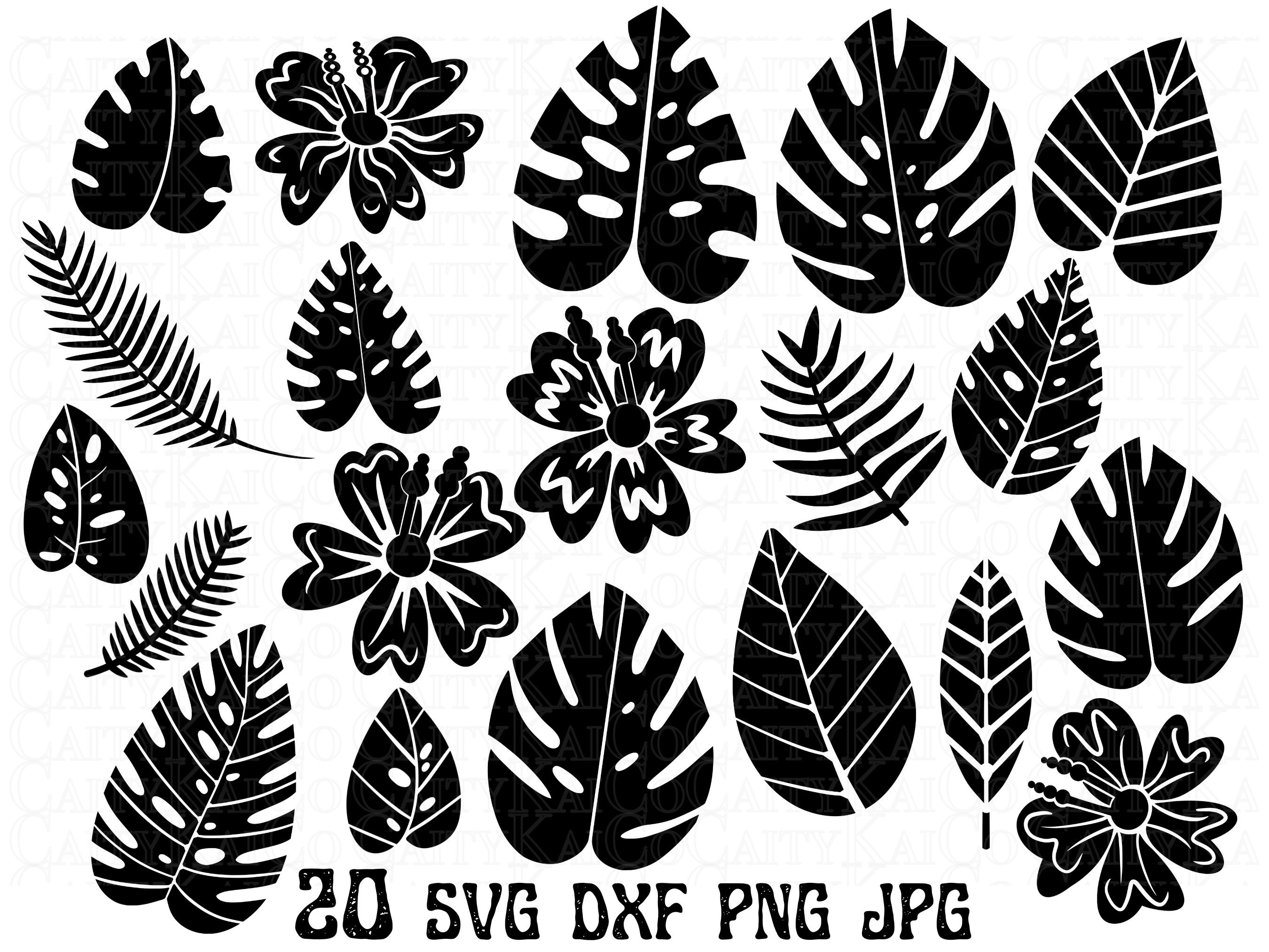 Tropical Leaves Svg Bundle, 20 Tropical Plant Svg, Monstera Leaf Svg ...