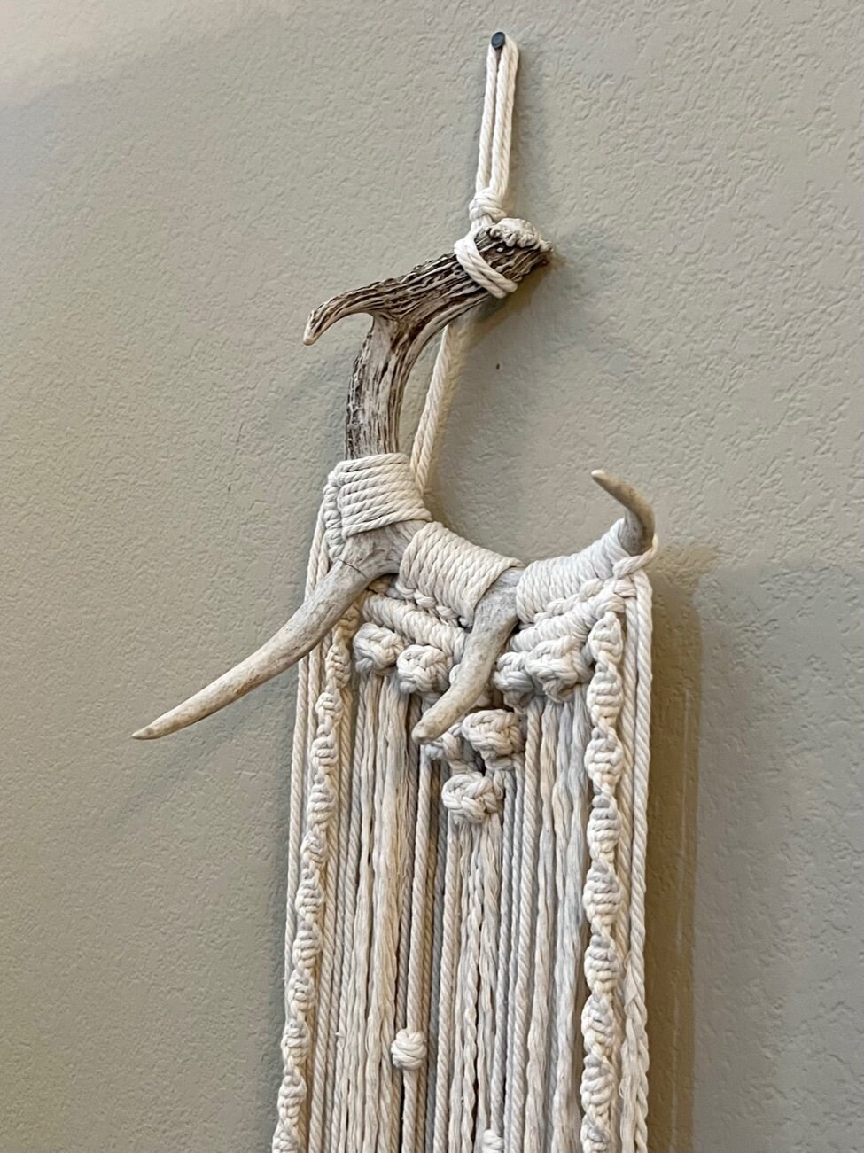 Shed Deer Antler Macrame Wall Hanging - Etsy