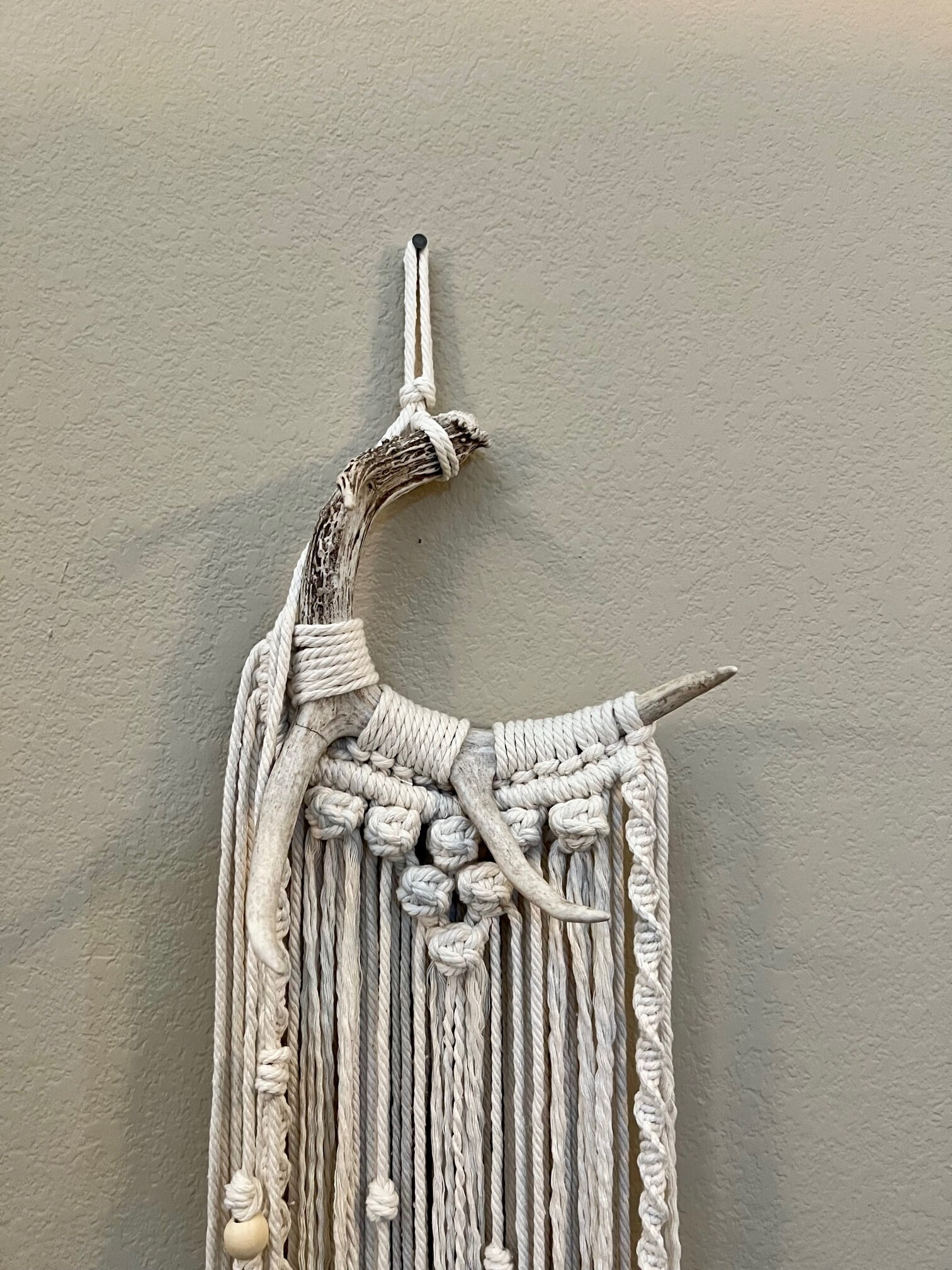 Shed Deer Antler Macrame Wall Hanging - Etsy