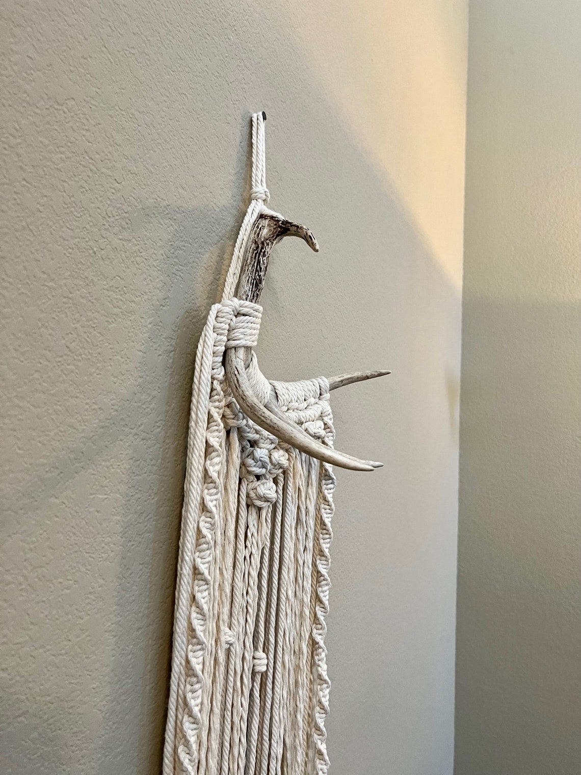 Shed Deer Antler Macrame Wall Hanging - Etsy