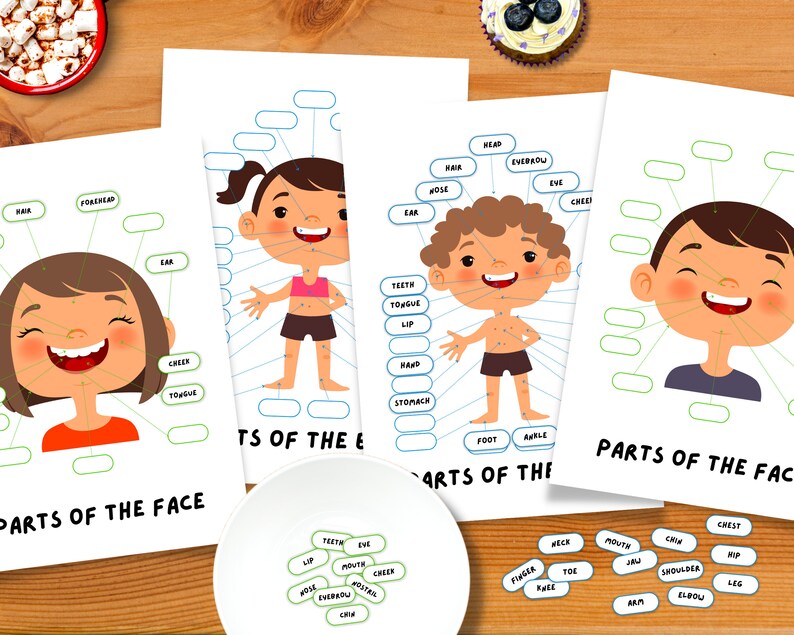 Face and Body Parts Matching Activity, Body Parts Matching Game, Face ...