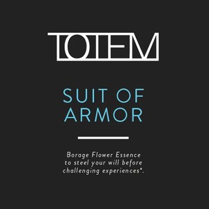 TOTEM Flower Essence: Suit of Armor - Etsy