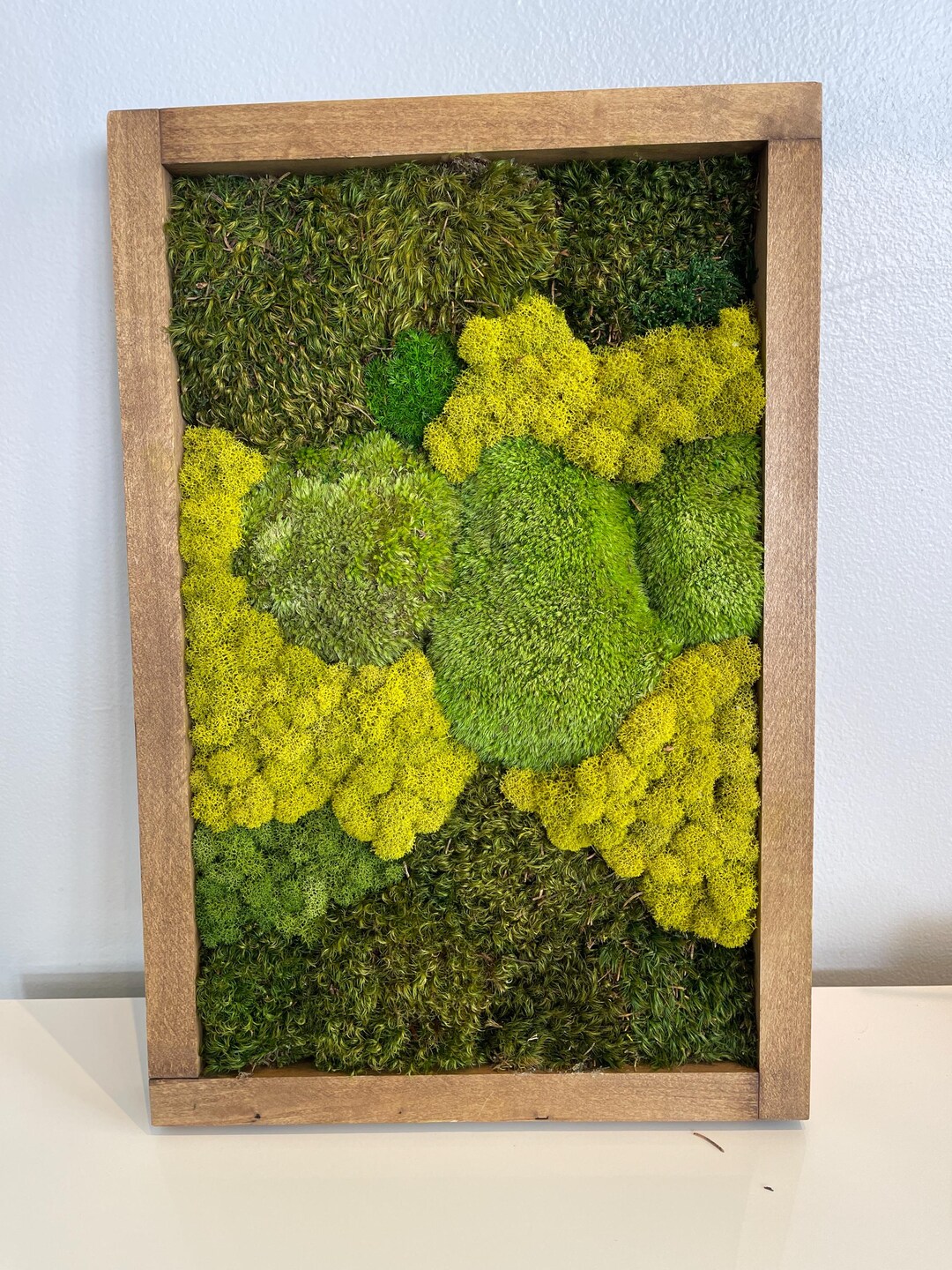 Unique Moss Wall Art a Moss Wall Art Framed Wood Artwork Preserved Live ...