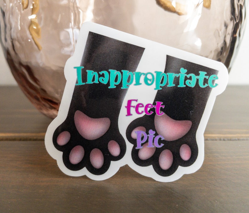 Cat Inappropriate Feet Pic Weatherproof Vinyl Sticker Humor - Etsy