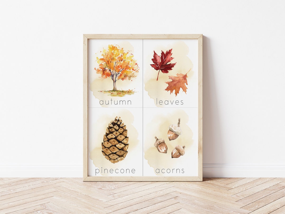 Autumn Flashcards, Spelling Flash Cards, Autumn, Homeschool ...