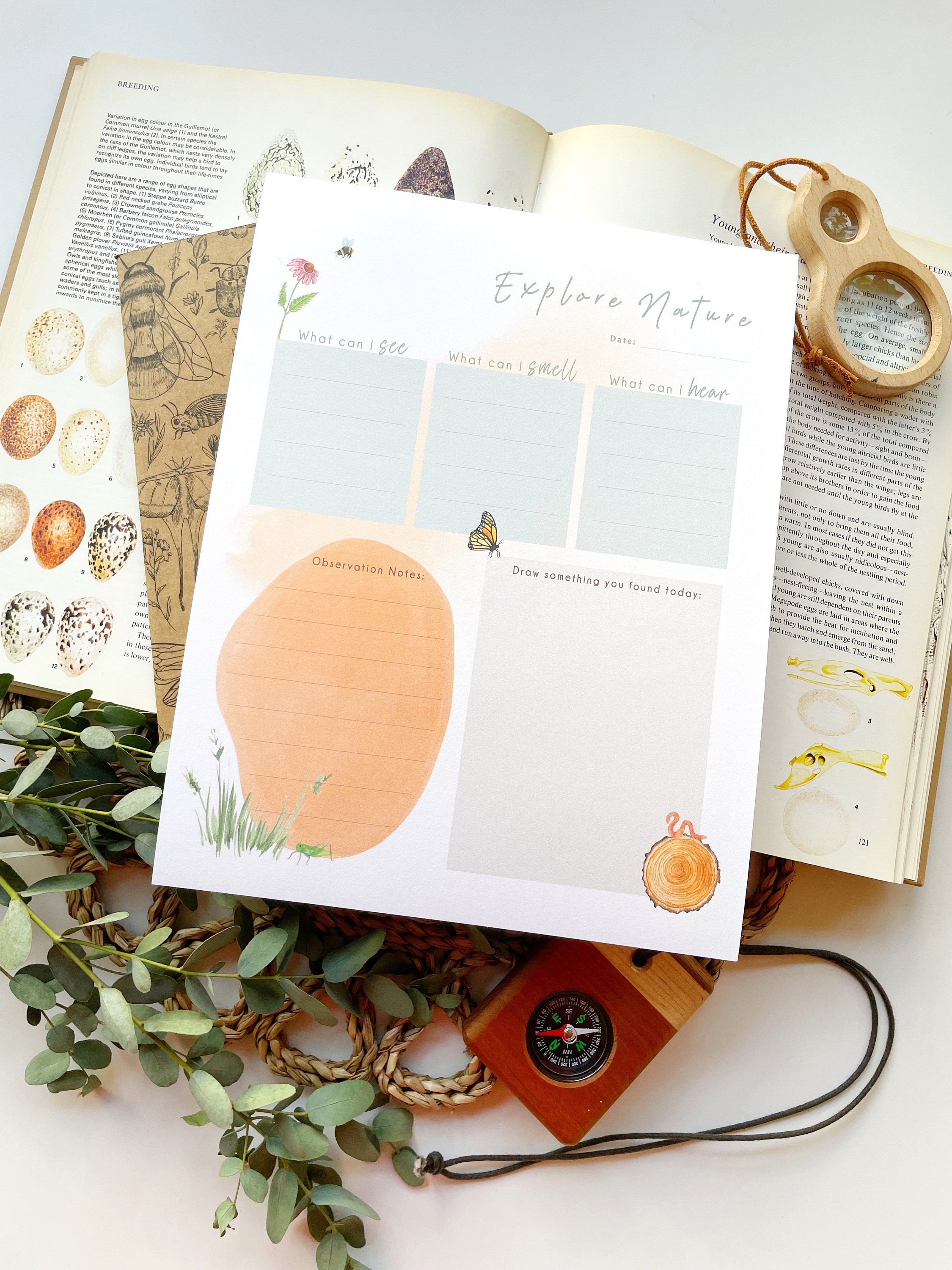 Nature Journal, Homeschool, Nature, Educational, Nature Study, Journal ...