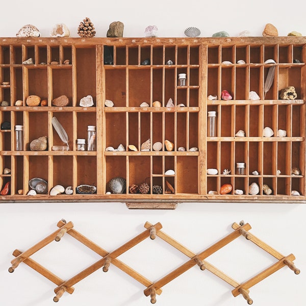 Nature Specimen - Etsy