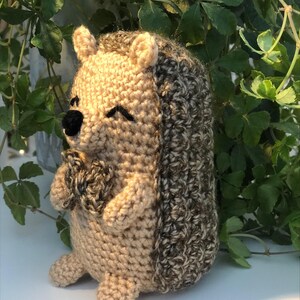 Crochet Kit and Pattern for Hedgerow the Hedgehog, DIY Tool Kit, Learn ...