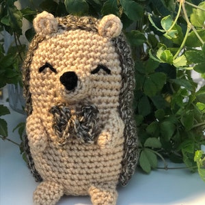 Crochet Kit and Pattern for Hedgerow the Hedgehog, DIY Tool Kit, Learn ...