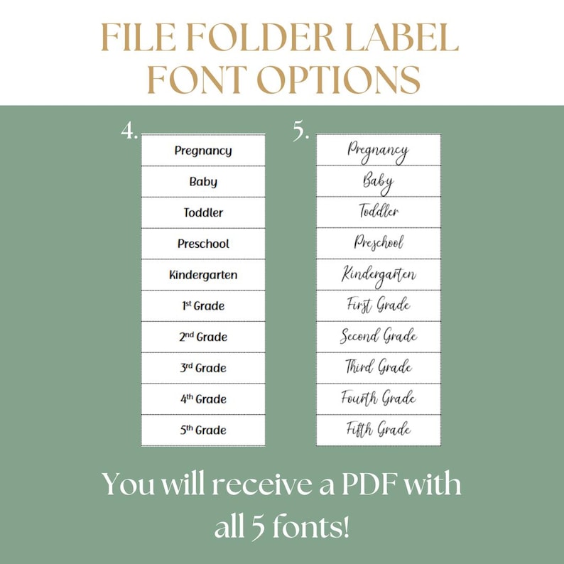 Printable File Folder Labels for Kids Milestone Box - Etsy