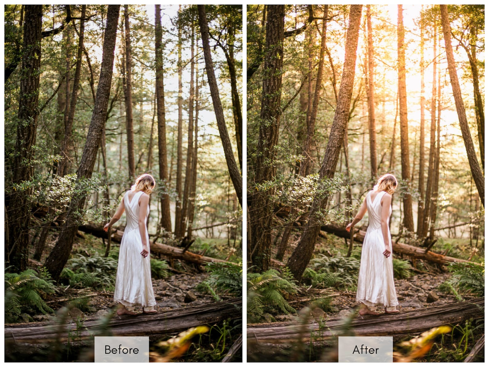 16 Sun Flare Lightroom Presets / Photo Filters for Mobile & Desktop ...