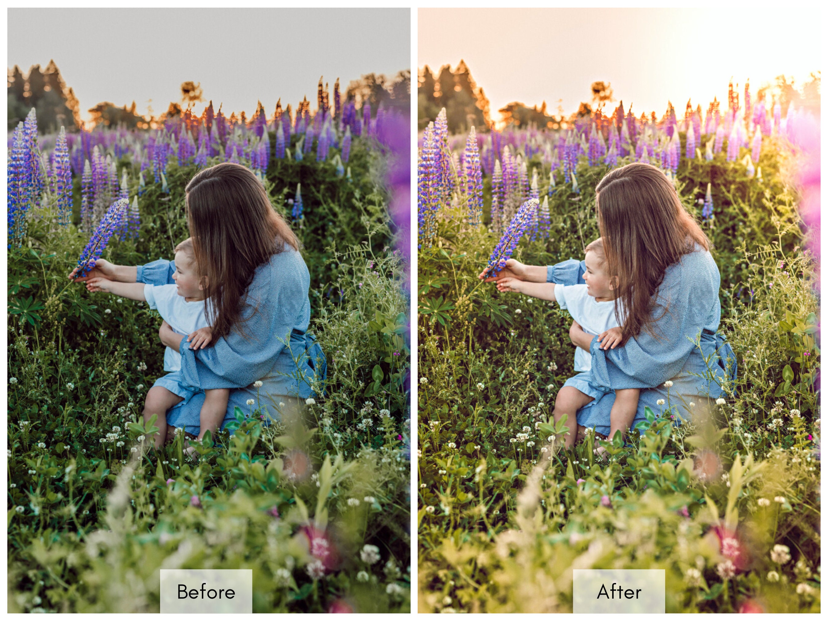 16 Sun Flare Lightroom Presets / Photo Filters for Mobile & Desktop | Lens Flare Presets ...