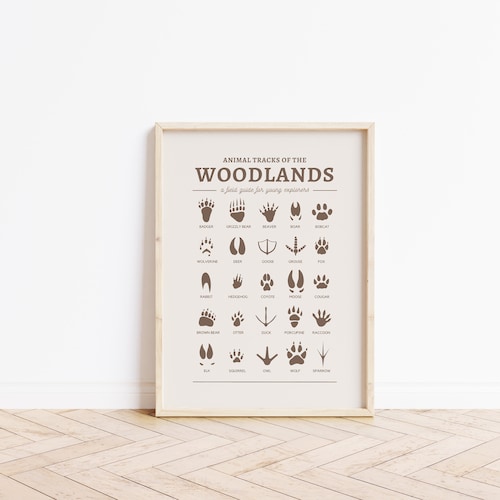 Animal Tracks Nursery Print Woodland Nursery Decor Wall Art - Etsy