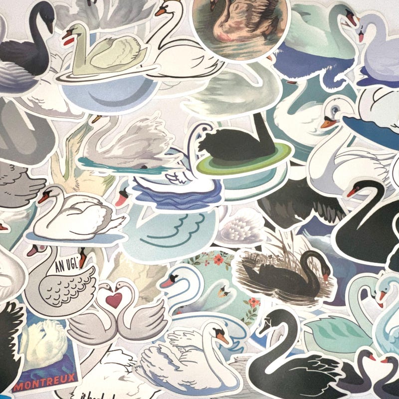Swan Wall Sticker - Etsy