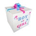 Jumbo Gift Box - the 28x28x28 Inch Big Gift Box / Oversized Gender ...