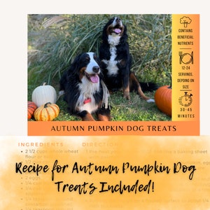 September Dog Activity Checklist / Dog Activity Ideas / - Etsy