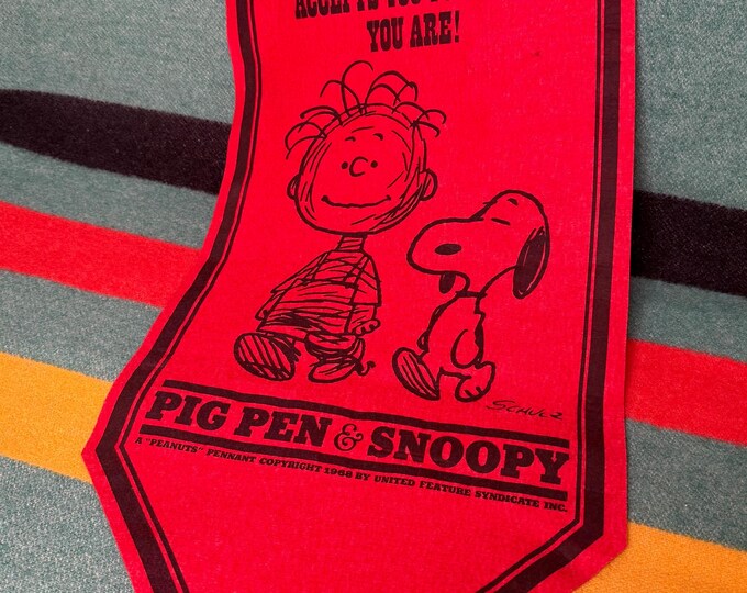 Vintage Peanuts (snoopy) Banner A Friend is Someone Who Accepts You W ...