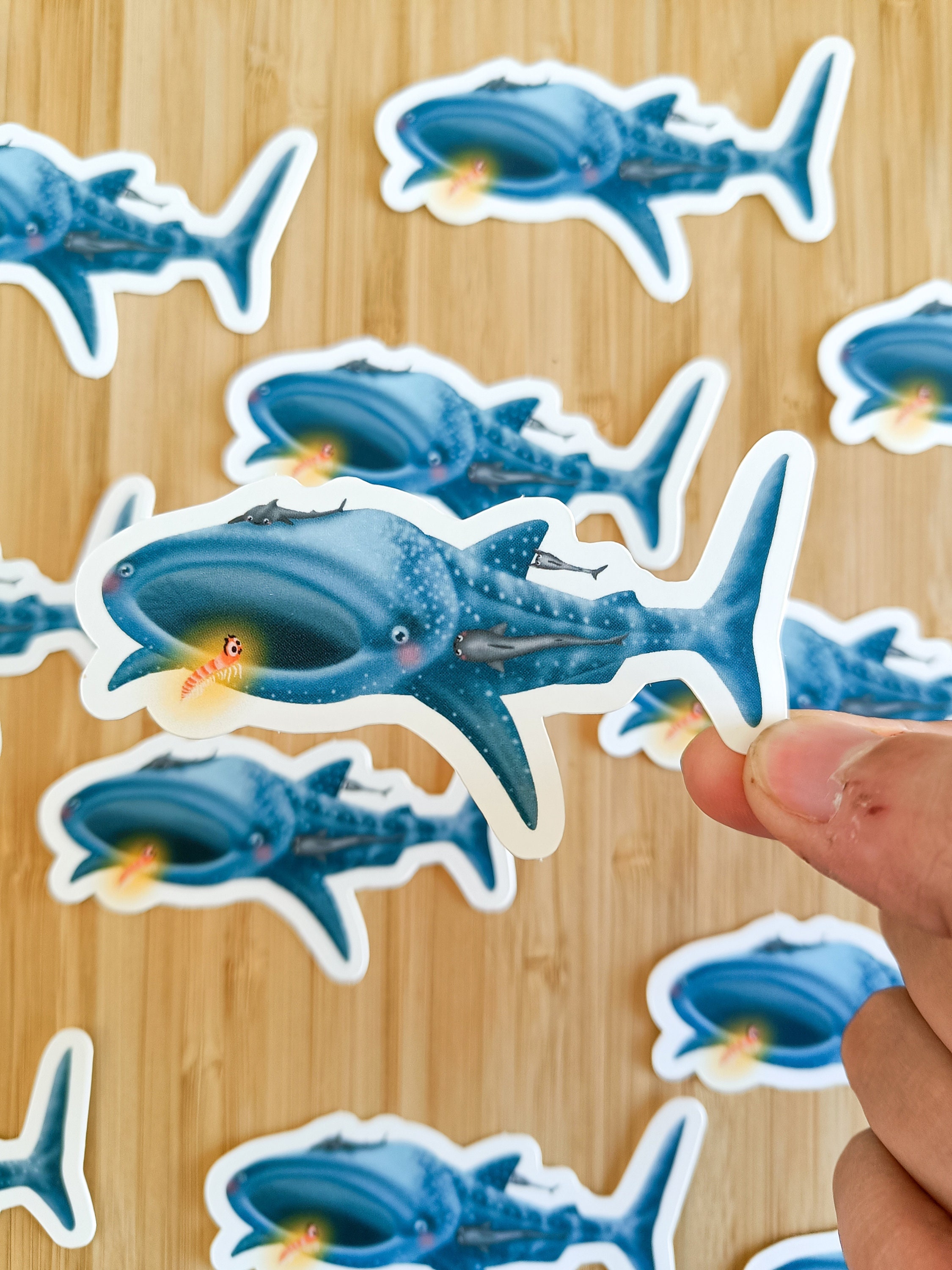 Remora And Shark Together Drawing