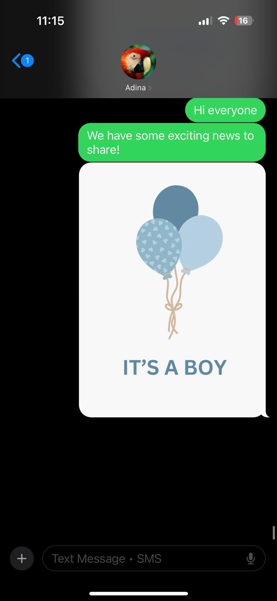 Baby Boy Gender Reveal Message - Etsy