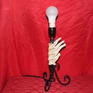 Bone Lamp, Spine Vertebrae Lamp, Oddity Lamp, Gothic Lamp, Vulture ...