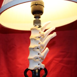 Bone Lamp, Spine Vertebrae Lamp, Oddity Lamp, Gothic Lamp, Vulture ...