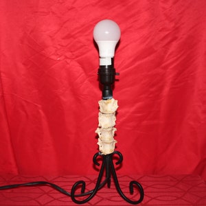 Bone Lamp, Spine Vertebrae Lamp, Oddity Lamp, Gothic Lamp, Vulture ...