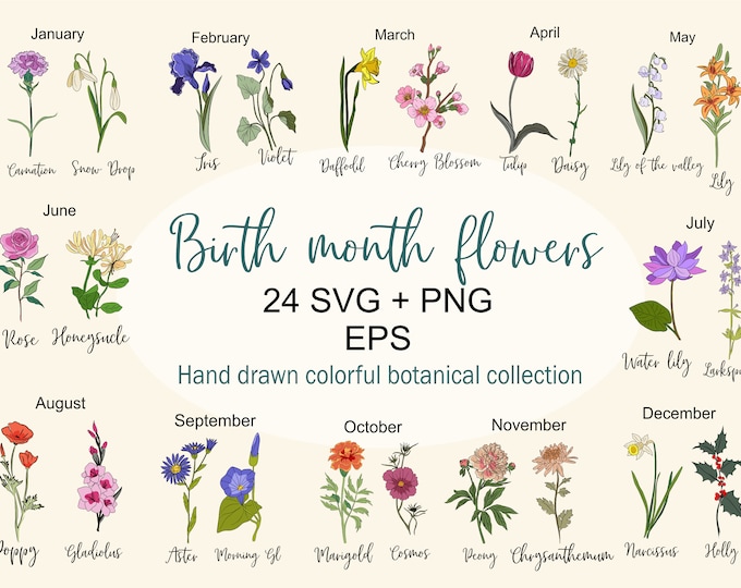 Birth Month Flower Bouquet Set-birth Month Flowers Png-birthmonth ...