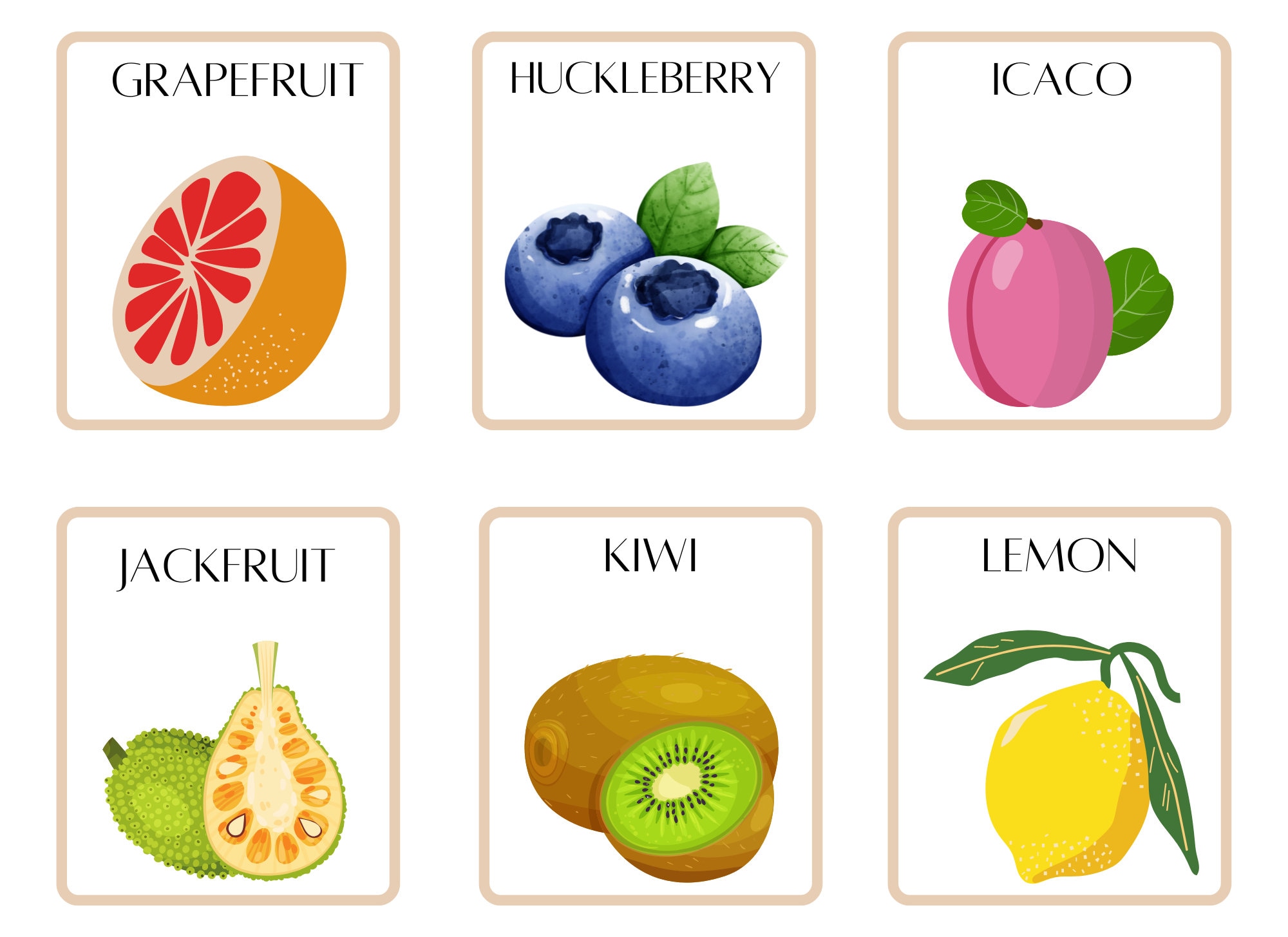 Fruit of the Alphabet Flash Cards - Etsy