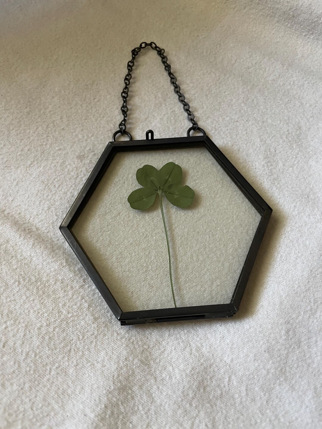Pressed and Framed Fourleaf Clover Wall Art and Good Luck Gift - Etsy