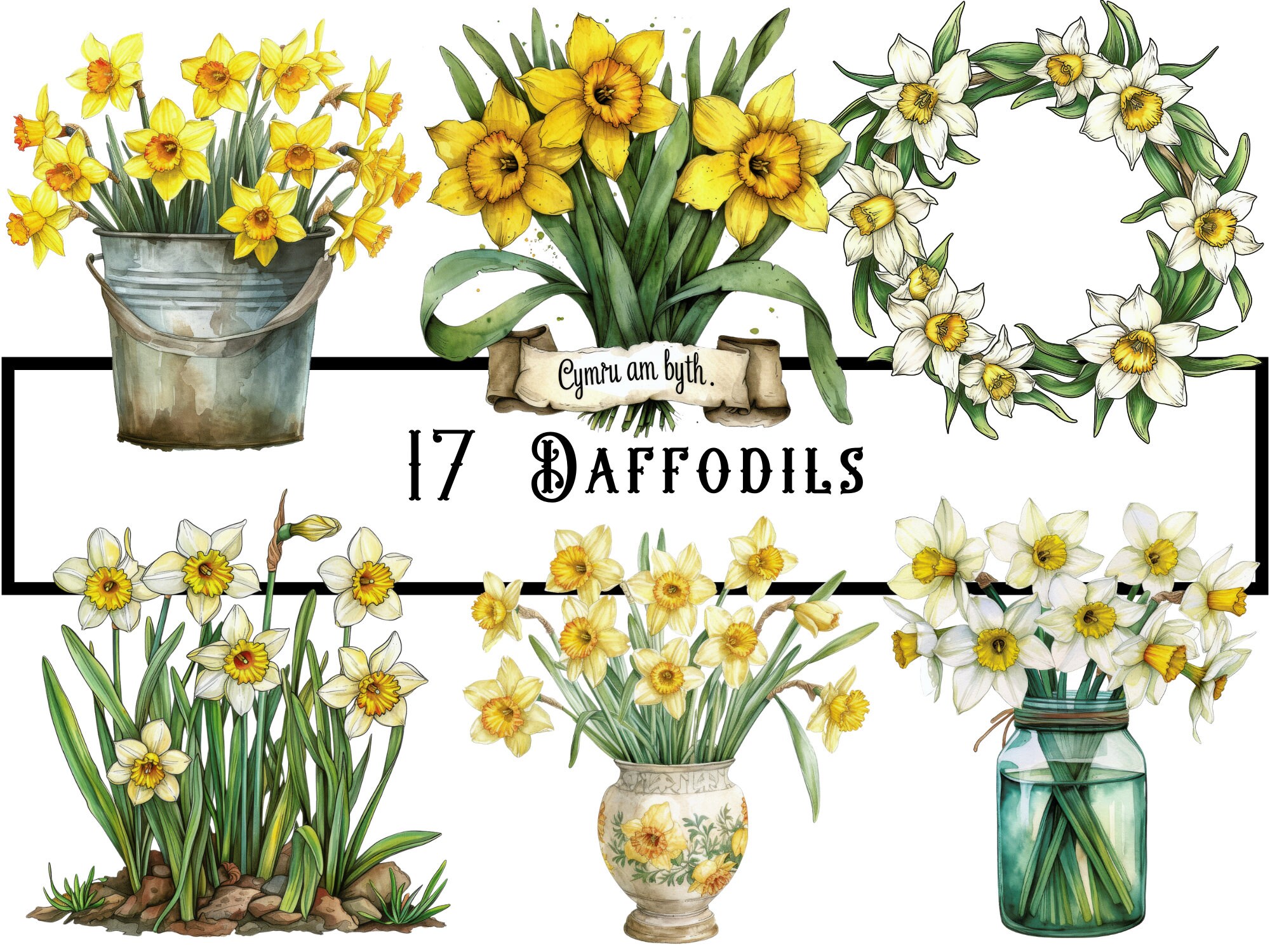 Daffodils Clipart Bundle, Welsh Flower Clipart, Wales Clipart, Yellow ...