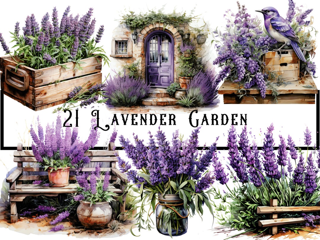 Watercolour Lavender Garden Clipart Bundle, Purple Flower Clipart ...