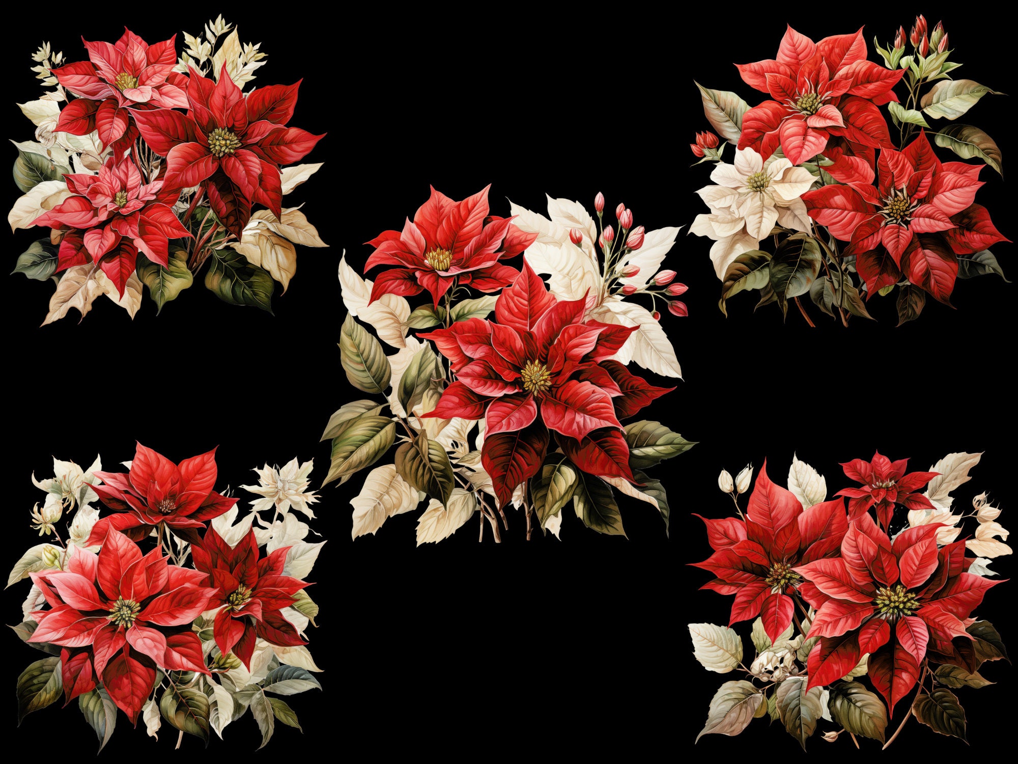 Christmas Flowers Clipart Bundle Poinsettia Clipart Red - Etsy
