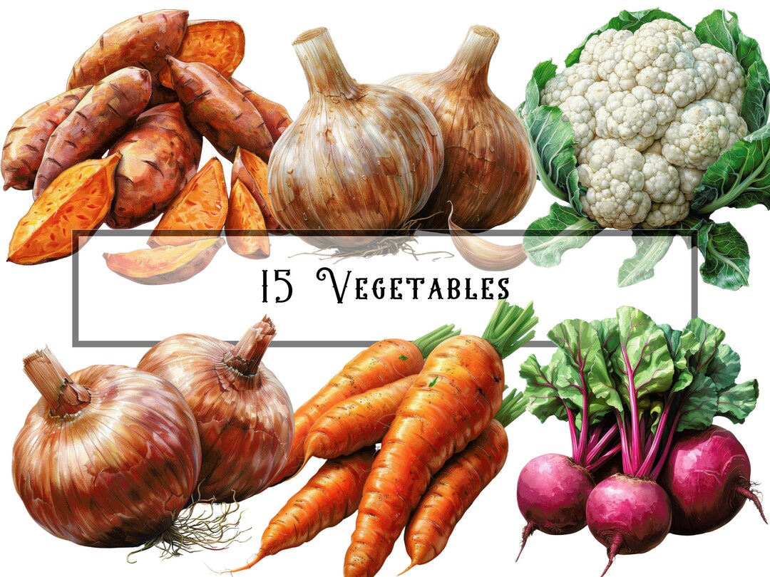 Watercolour Vegetable Clipart Bundle, Root Vegetables Png, Food Clipart ...