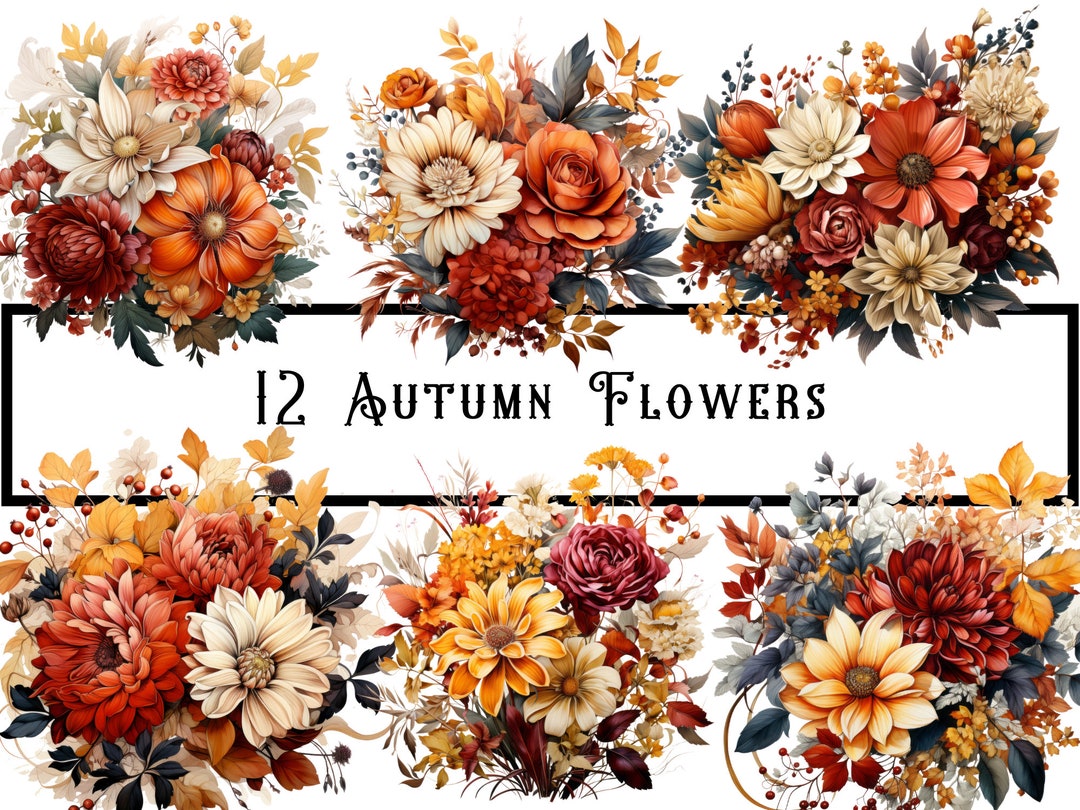 Watercolour Autumn Flowers Clipart Bundle, Fall Flowers Clipart ...