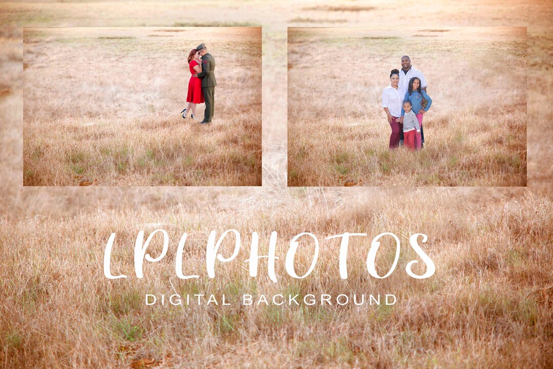 Yellow Grass Field Digital Background - Etsy