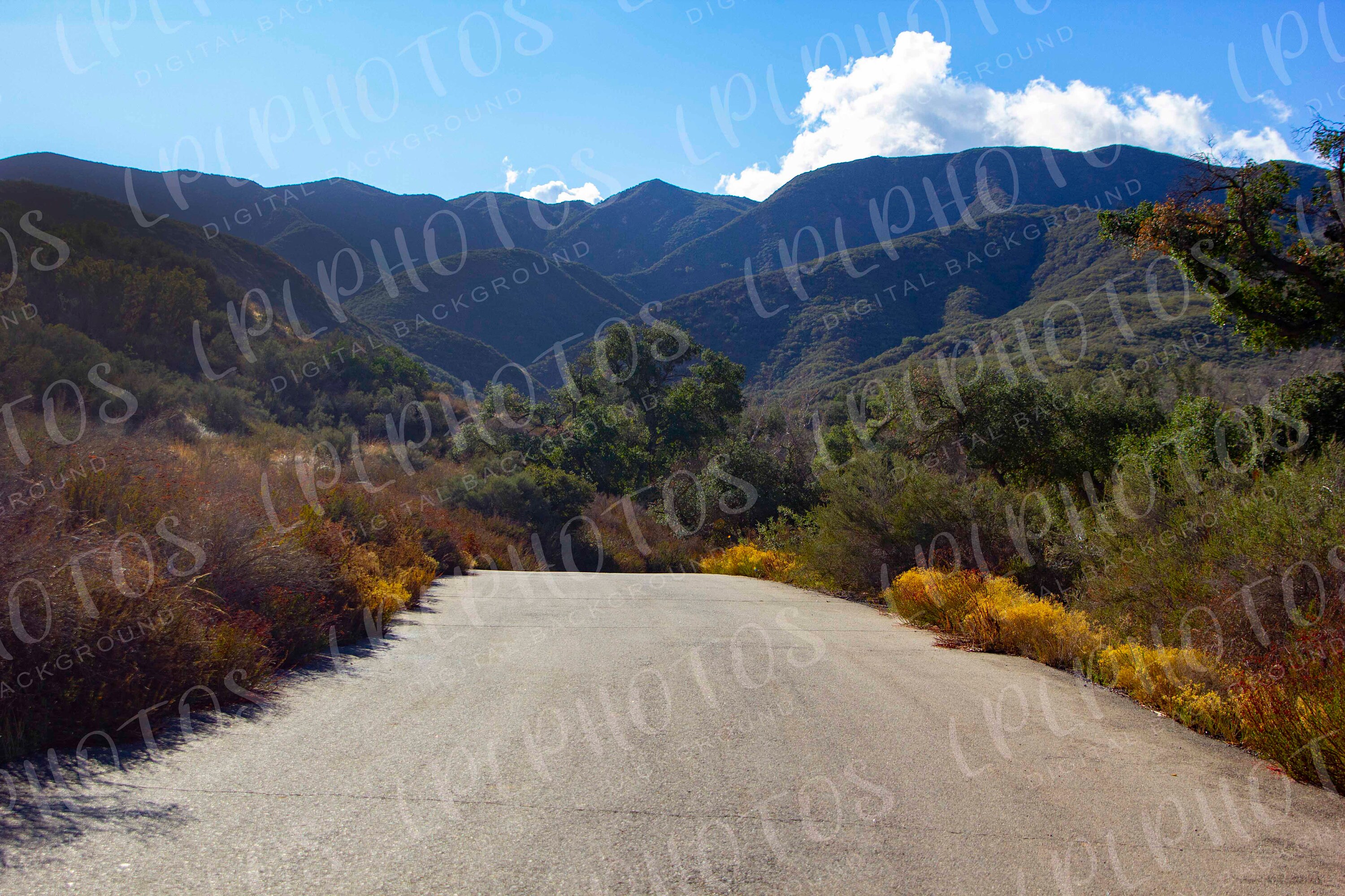 Scenic Digital Background, Mountains, - Etsy