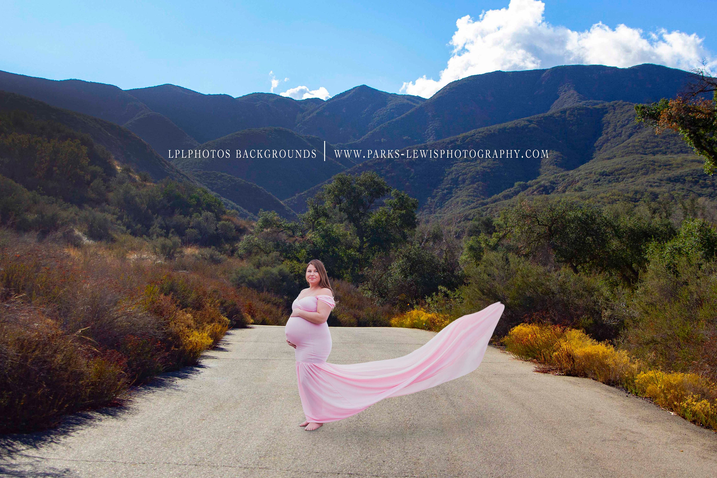 Scenic Digital Background, Mountains, - Etsy