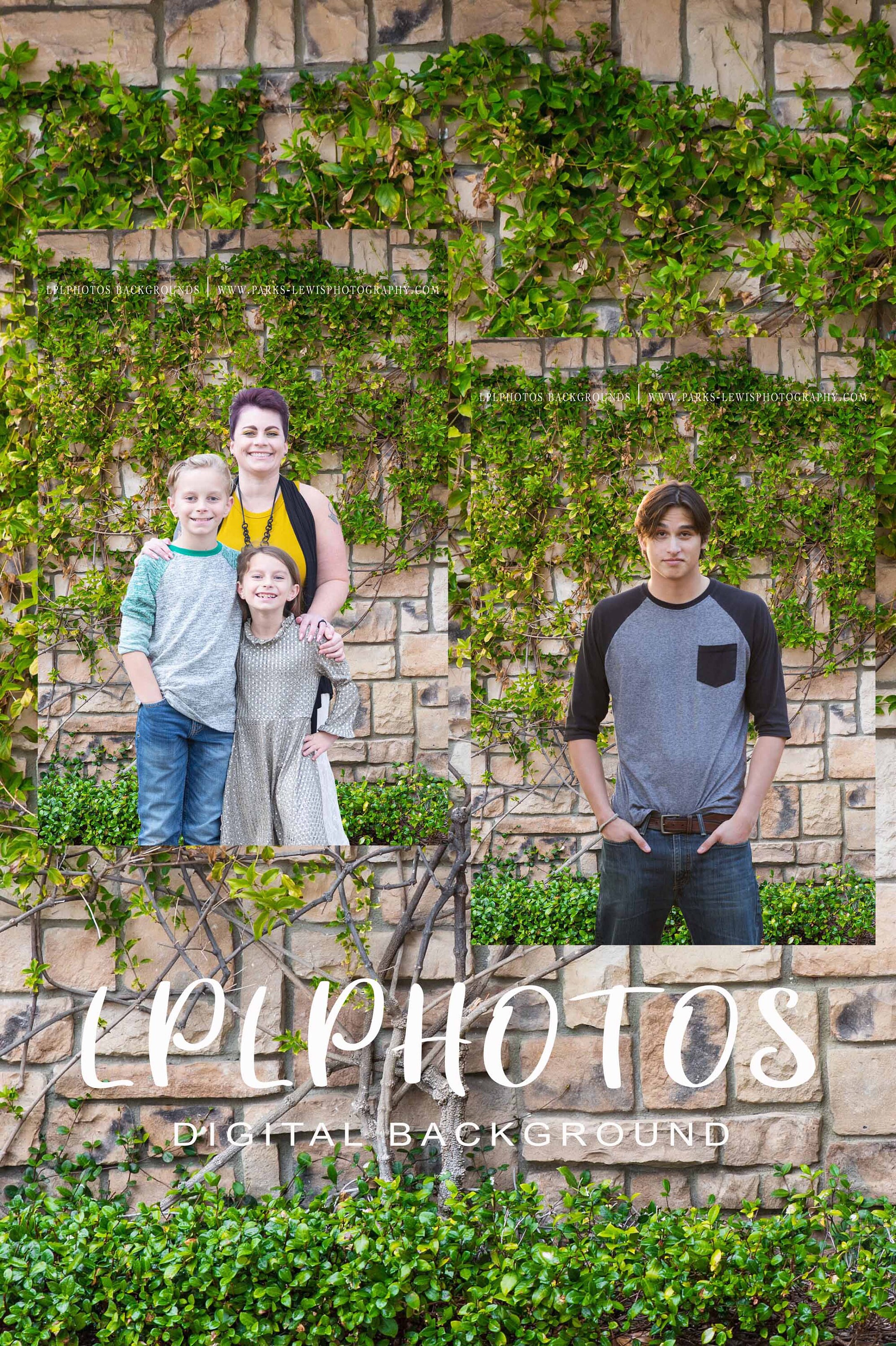 Greenery Digital Background - Etsy