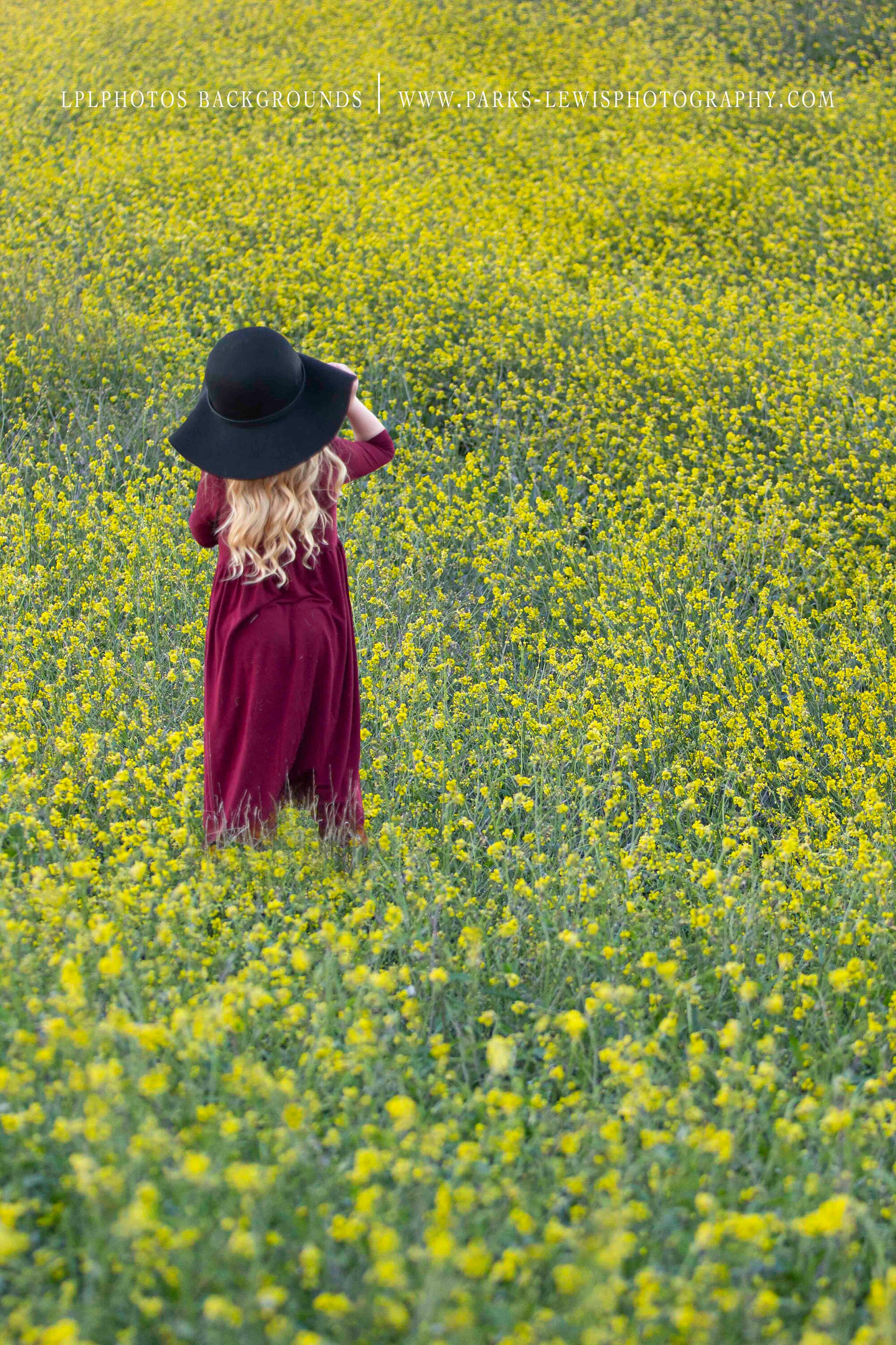 Yellow Flower Field Digital Background, Yellow Flowers, Flower Field ...