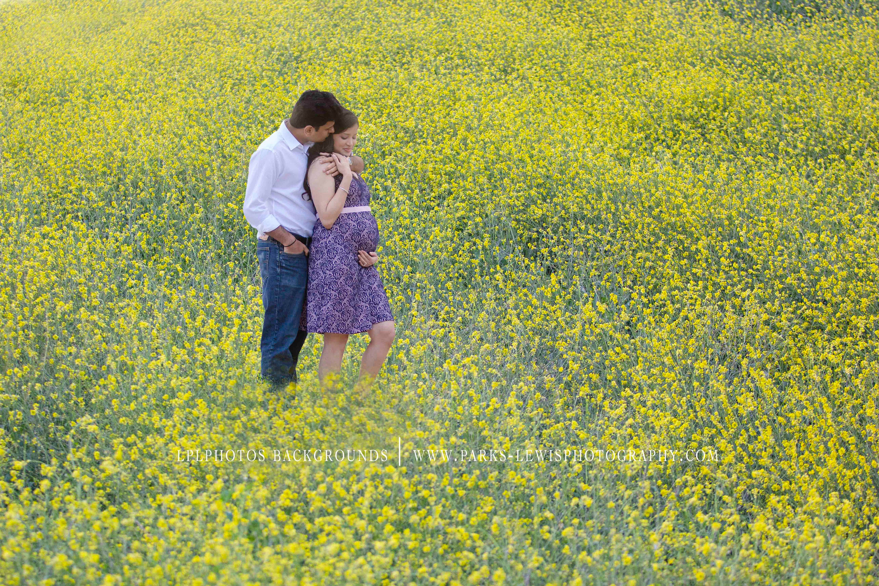 Yellow Flower Field Digital Background, Yellow Flowers, Flower Field ...