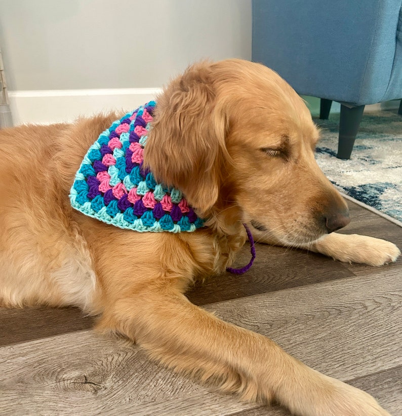 Crochet Dog Bandana, Two Sizes, Adjustable - Etsy