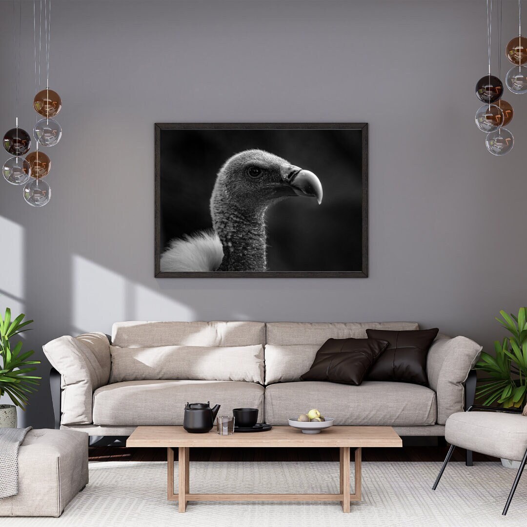 Vulture Printvulture Portraitanimal Portraitblack and White - Etsy