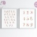Blush and Gold Floral Alphabet and Numbers Printable Art Print Set of 2 ...
