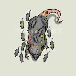 Dnd Tokens Pack| Printable Tokens for Dungeons & Dragons| Roll20| Dm ...