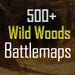 Dungeons and Dragons Battlemaps | Digital RPG Maps | Role Playing ...