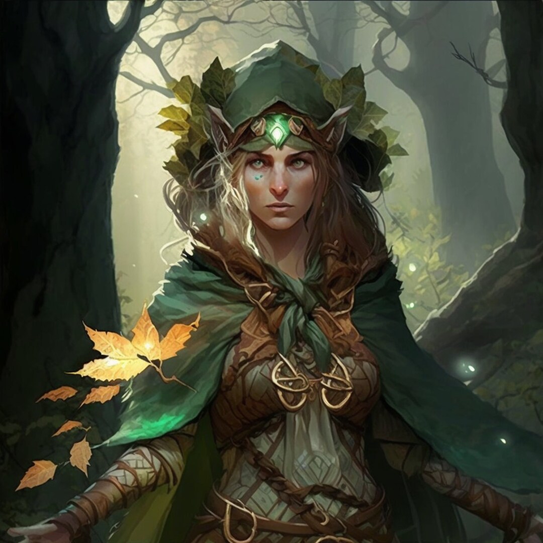 Custom Portrait Character Commission Dungeons And Dragons Character Portraits Custom Made For 