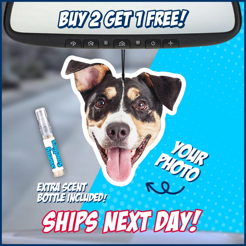 Car Dog Picture - Etsy