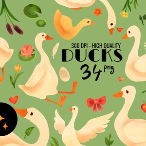 Cute Ducks Cliparts Illustration Gooses Spring Spring - Etsy