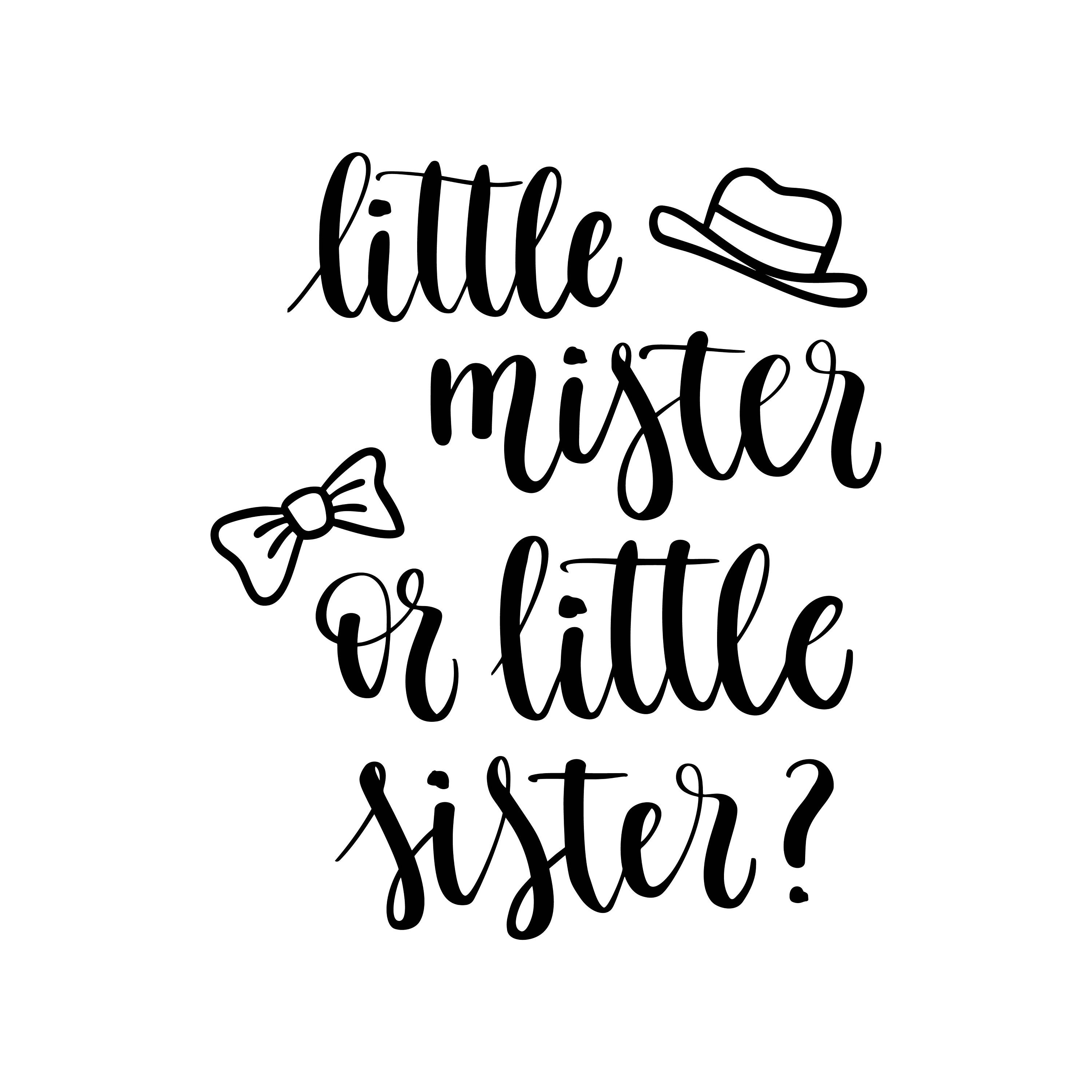 Little Mister or Little Sister Gender Reveal Shirt SVG Baby - Etsy